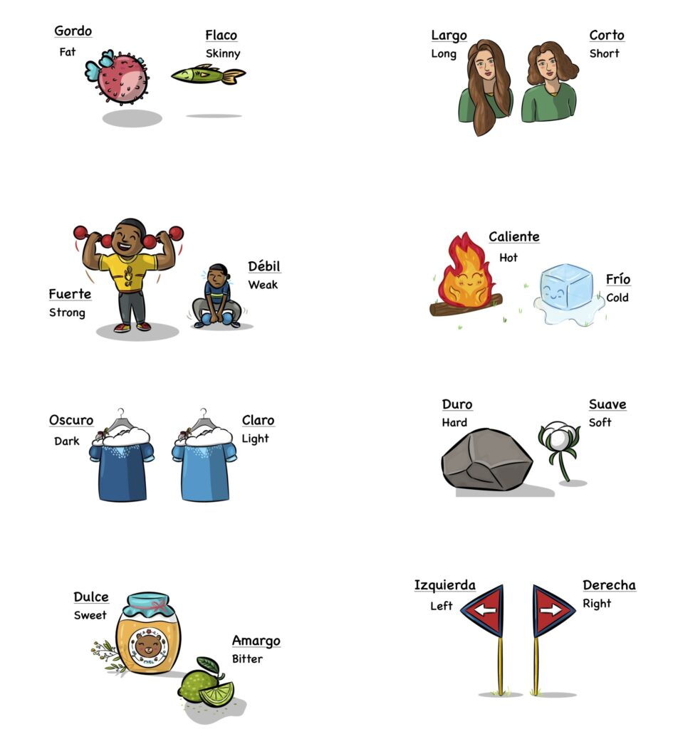 Vocabulary – Opposites | Learning Spanish with Johanna