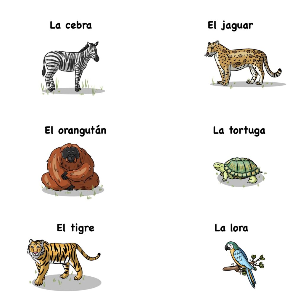 Vocabulary – Zoo Animals Pt 1 | Learning Spanish with Johanna
