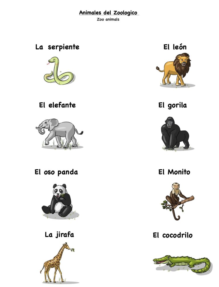 Vocabulary – Zoo Animals Pt 1 | Learning Spanish with Johanna